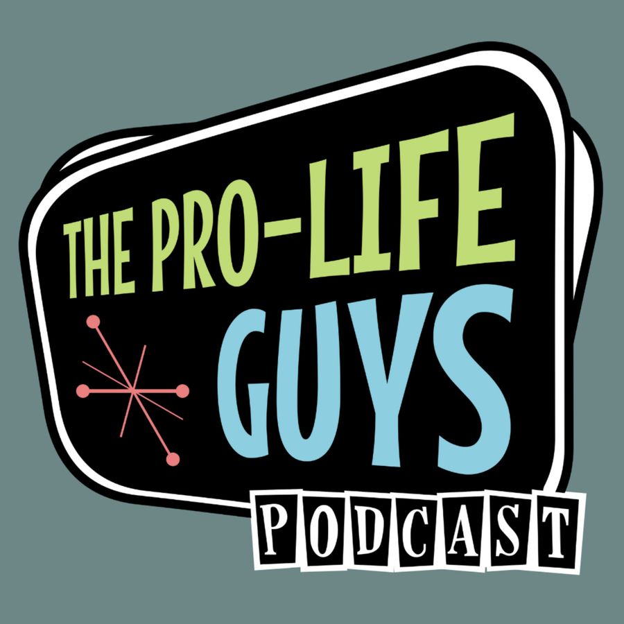 The Pro-Life Guys - 25: Love Unleashes Life | Stephanie Gray Connors ...